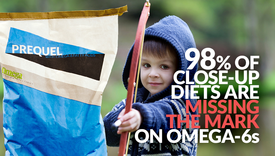 The Fatty Acid Forum » Prequel Start Guide