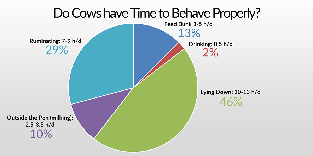 The Fatty Acid Forum » Fresh Cows – Management for Best Behavior! Dr ...